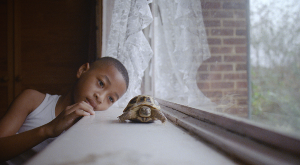 Blink Productions › Bob Harlow